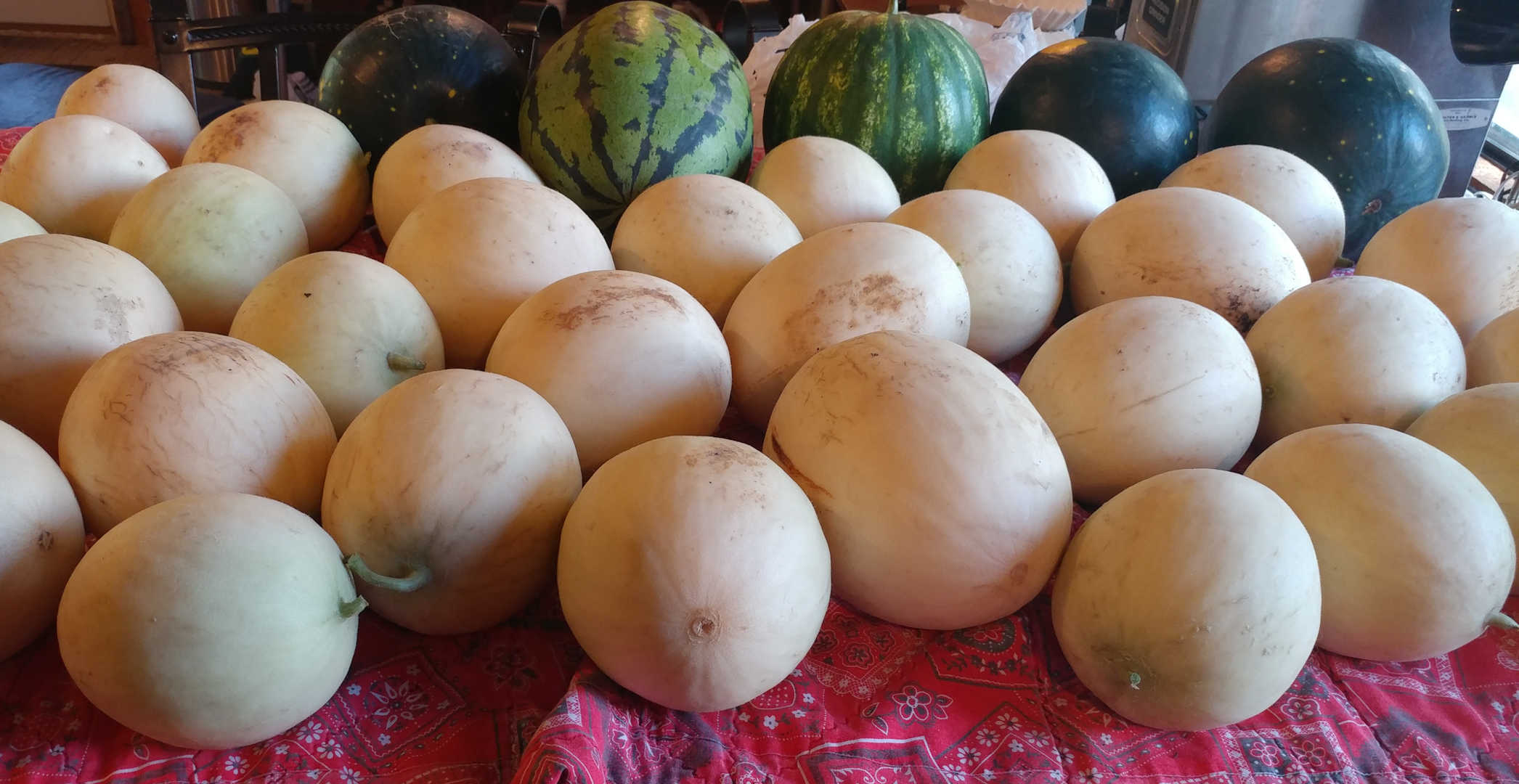 2025 CSA Share – Dancing Crane Farm